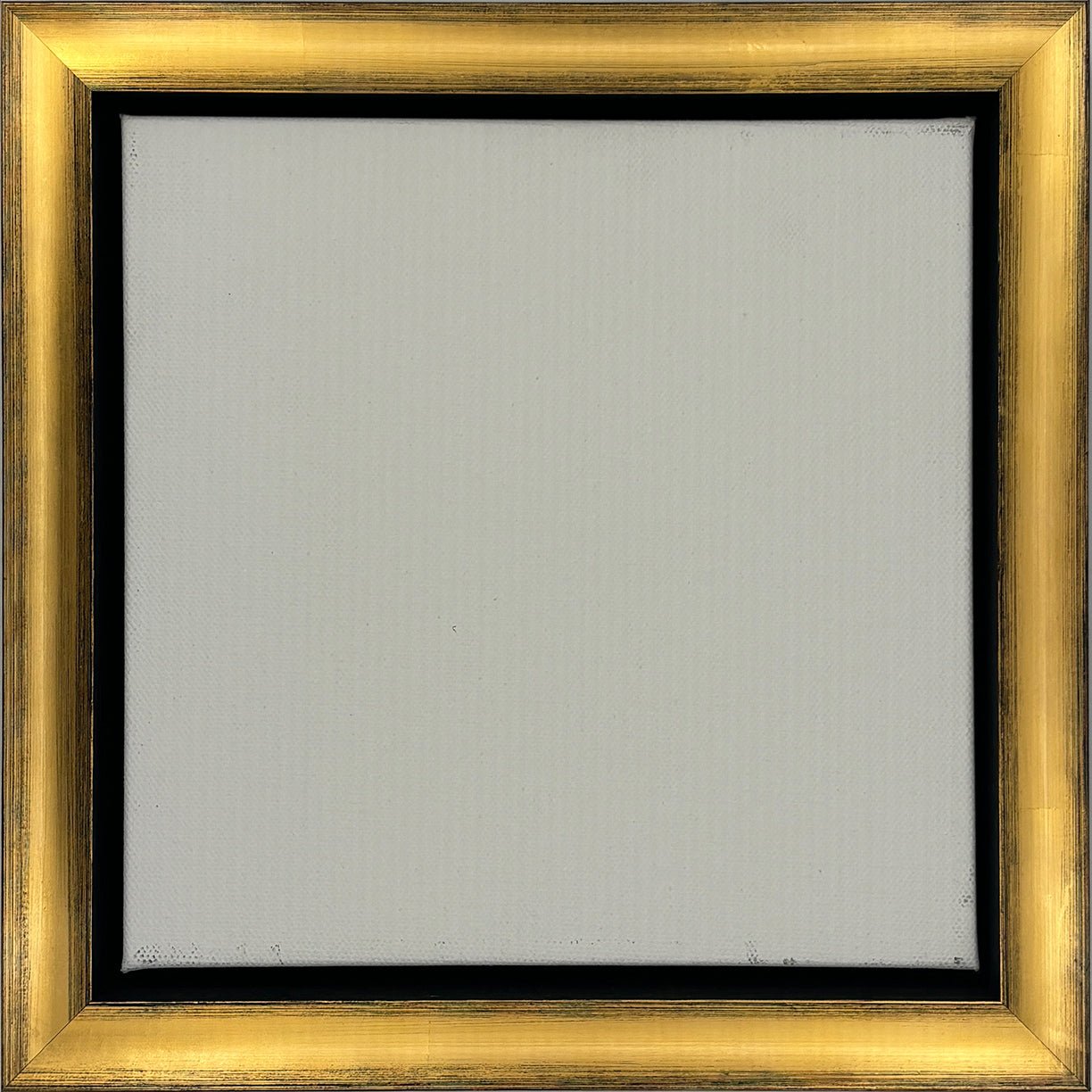 Gold and Black Floater Frame - Articient